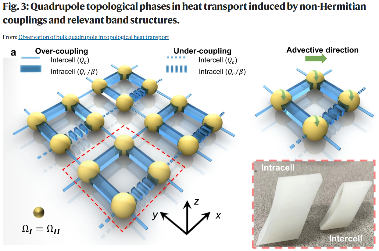 NUS SHINE – Observation of Bulk Quadrupole in Topological Heat Transport
